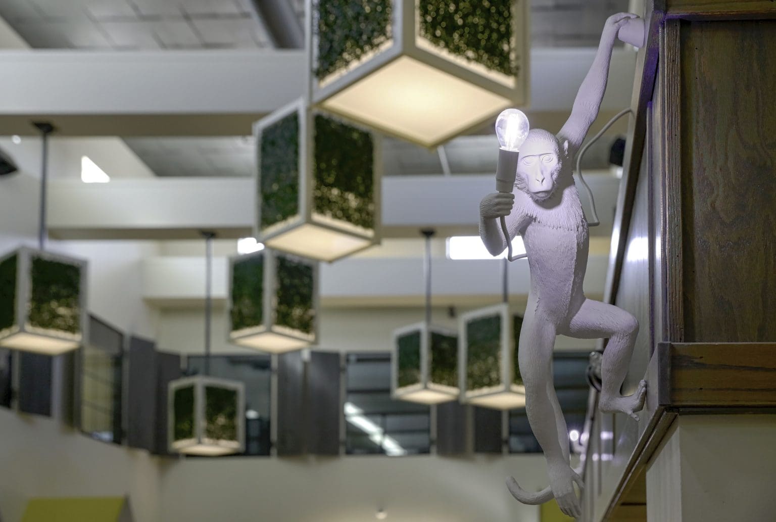 Coworking & Office Rentals in Allen TX | Caddo Office Reimagined