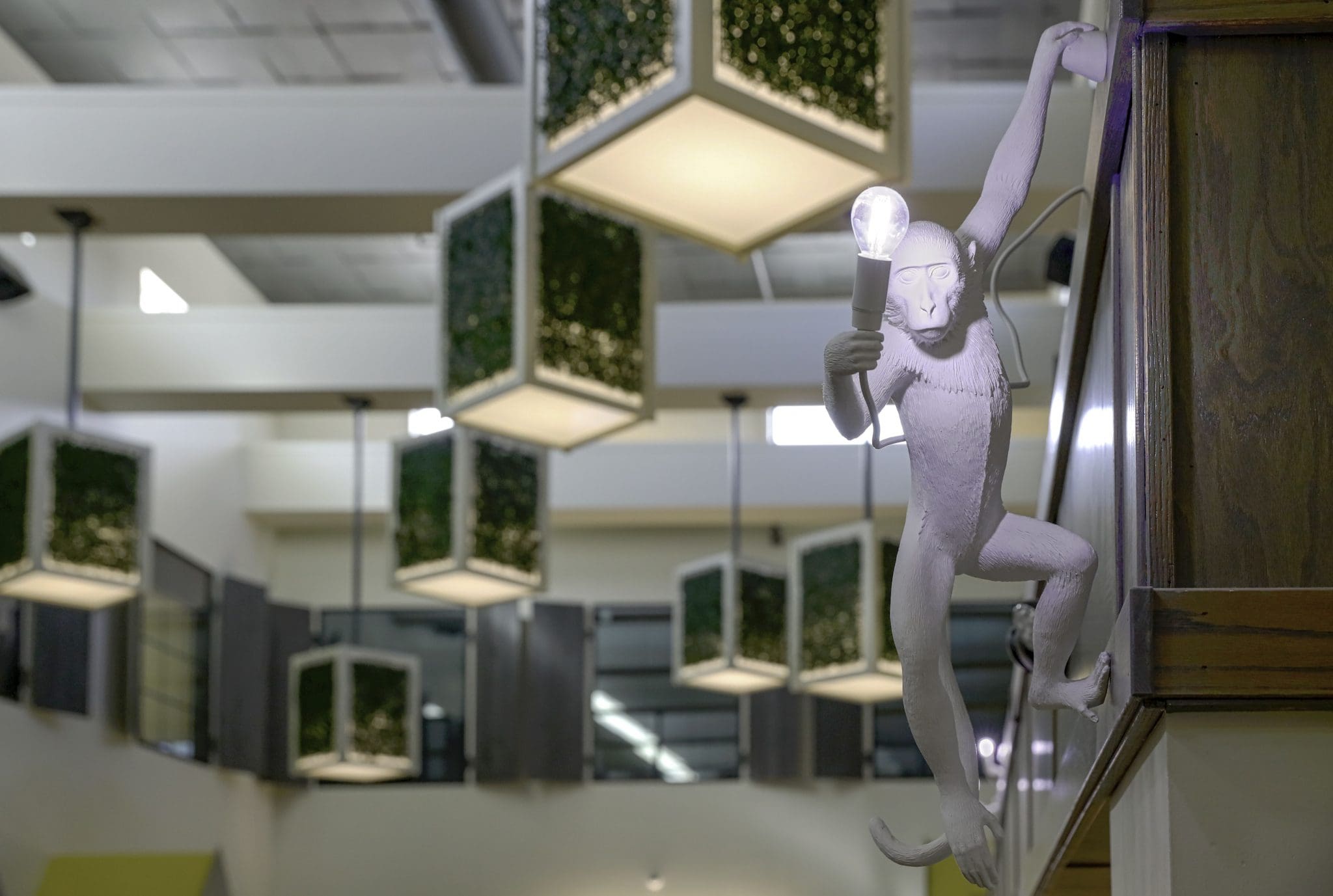 Coworking & Office Rentals in Allen TX | Caddo Office Reimagined